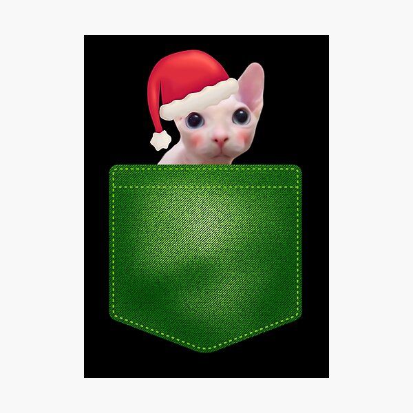 "Funny Bingus Cat Meme - Christmas Cat Meme Pocket" Photographic Print ...