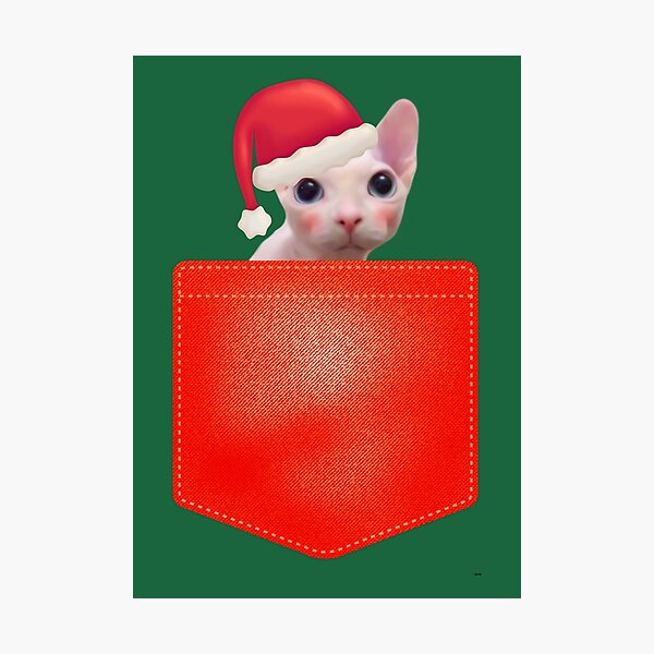 Lámina fotográfica «Bingus Meme Santa Cat Meme - Christmas Cat Meme ...