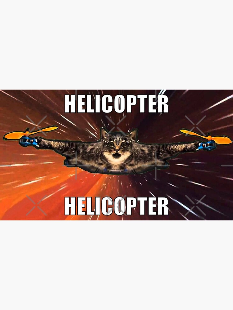 "Helicopter Helicopter Cat meme" Photographic Print for Sale by ...