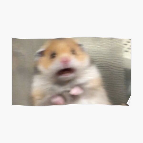 "Shook hamster meme" Poster for Sale by SAVAGEwav | Redbubble