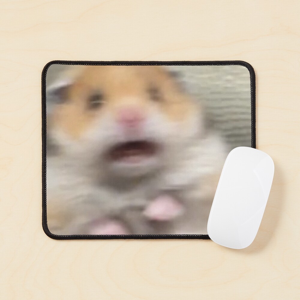 "Shook hamster meme" Poster for Sale by SAVAGEwav | Redbubble