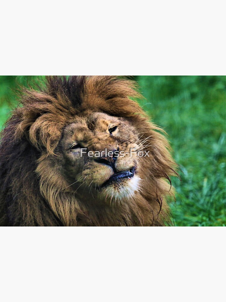 "Lion Grin" Sticker for Sale by Fearless-Fox | Redbubble
