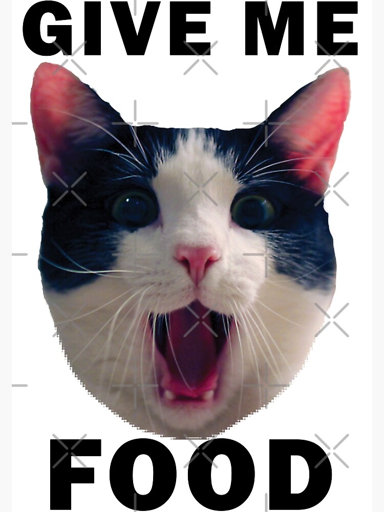 "give me food meme" Poster for Sale by Made-By-Art | Redbubble
