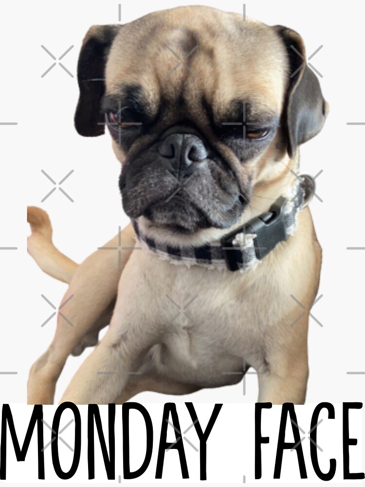 "PUG MONDAY FACE" Sticker for Sale by RoseDesigns87 | Redbubble