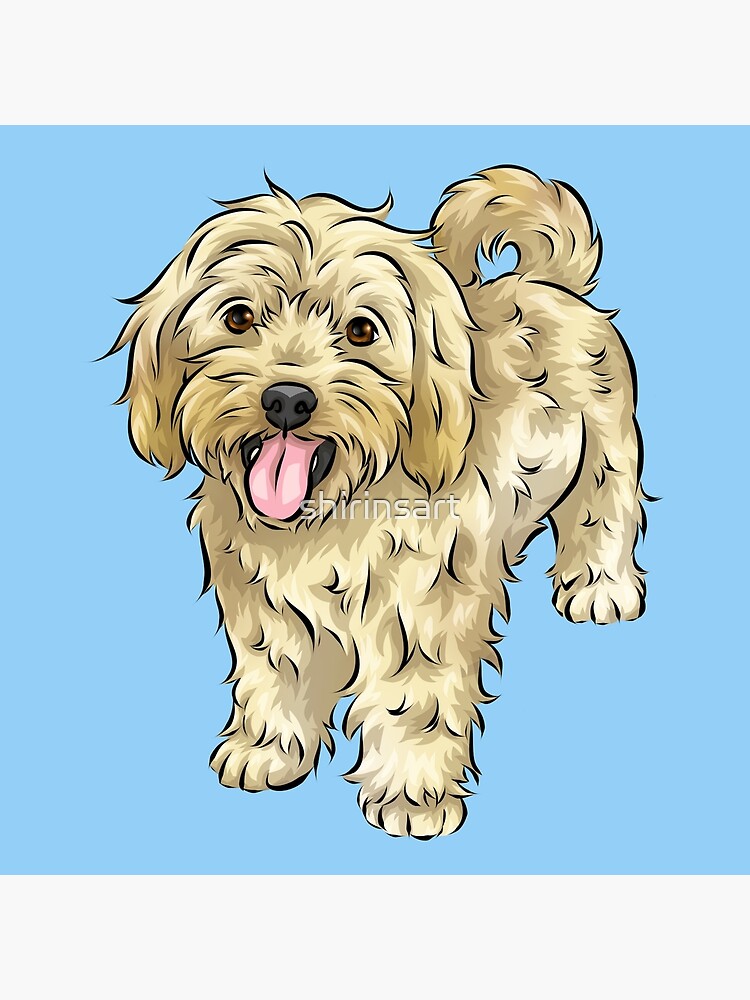 "Cute Cavapoo | Cream \ Yellow | Cute Dog Art" Poster for Sale by shirinsart | Redbubble