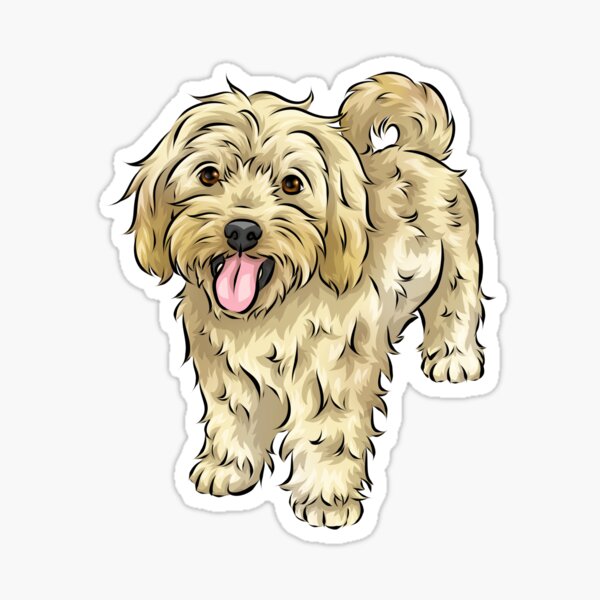 "Cute Cavapoo | Cream \ Yellow | Cute Dog Art" Sticker by shirinsart ...
