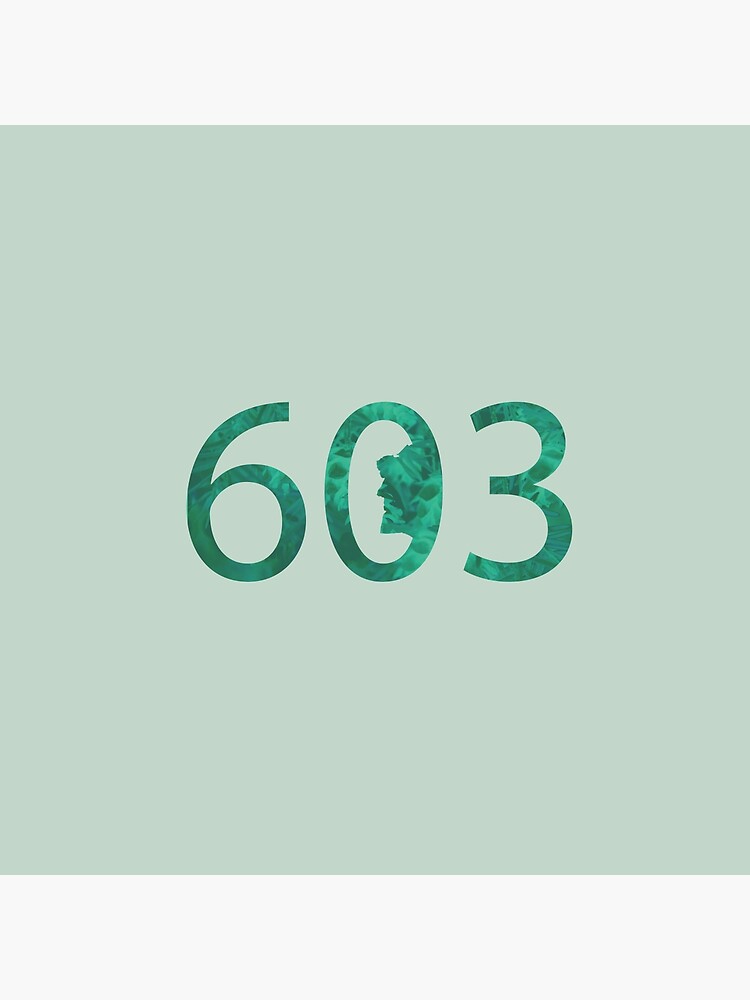 "603 - Old Man of the Mountain" Poster for Sale by leahhorgan88 | Redbubble