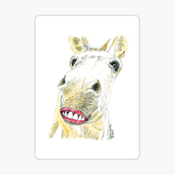 "Smiling Donkey" Sticker for Sale by ArtbyTerrieD | Redbubble