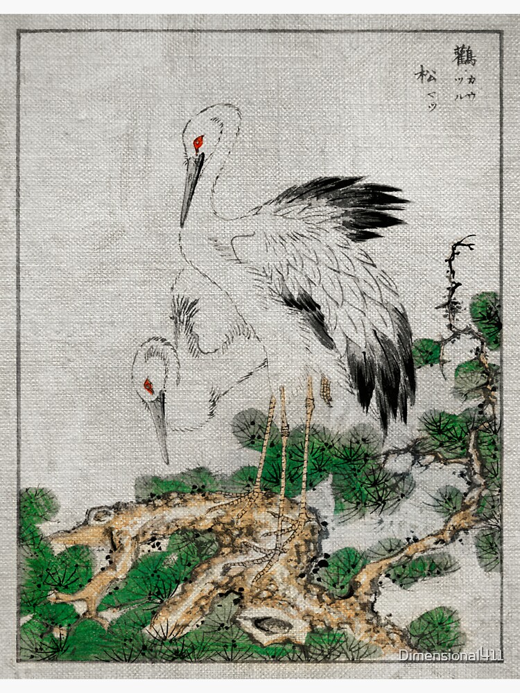 "A Japanese Classic Illustration Art Of Storks And Pine Tree By Numata ...