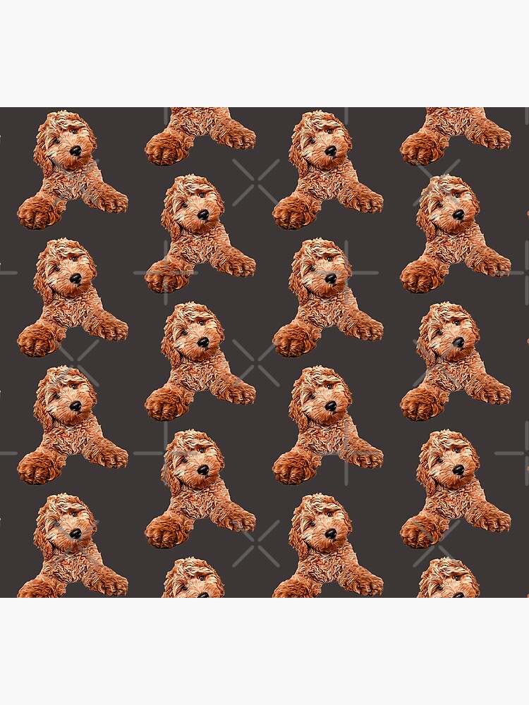 Cavapoo Labradoodle Goldendoodle Poodle Mix Socks sold by Enrique ...