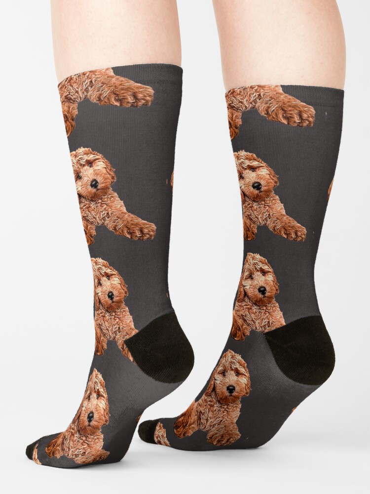 "Cavapoo Labradoodle Goldendoodle Poodle Mix " Socks for Sale by Elarex ...