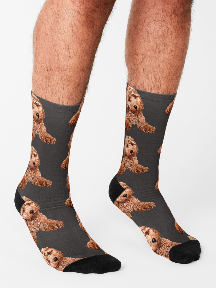 "Cavapoo Labradoodle Goldendoodle Poodle Mix " Socks for Sale by Elarex ...