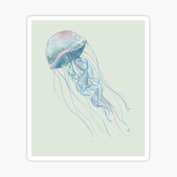 "Single Blue Jellyfish" Sticker by HildegunStudio | Redbubble