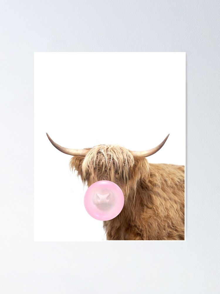 "Highland Cow Blowing Bubble Gum by Zouzounio Art" Poster for Sale by ...