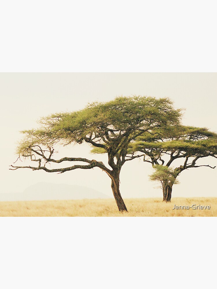 "Spot the leopard" Sticker for Sale by Jenna-Grieve | Redbubble