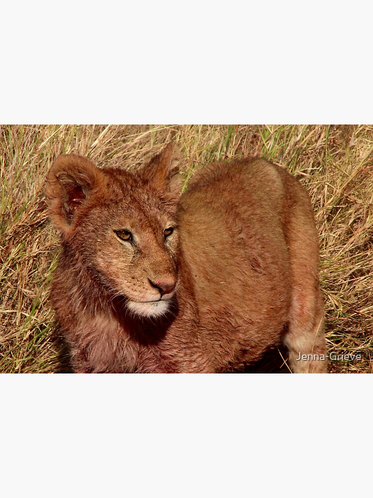 "Baby Lion" Poster for Sale by Jenna-Grieve | Redbubble