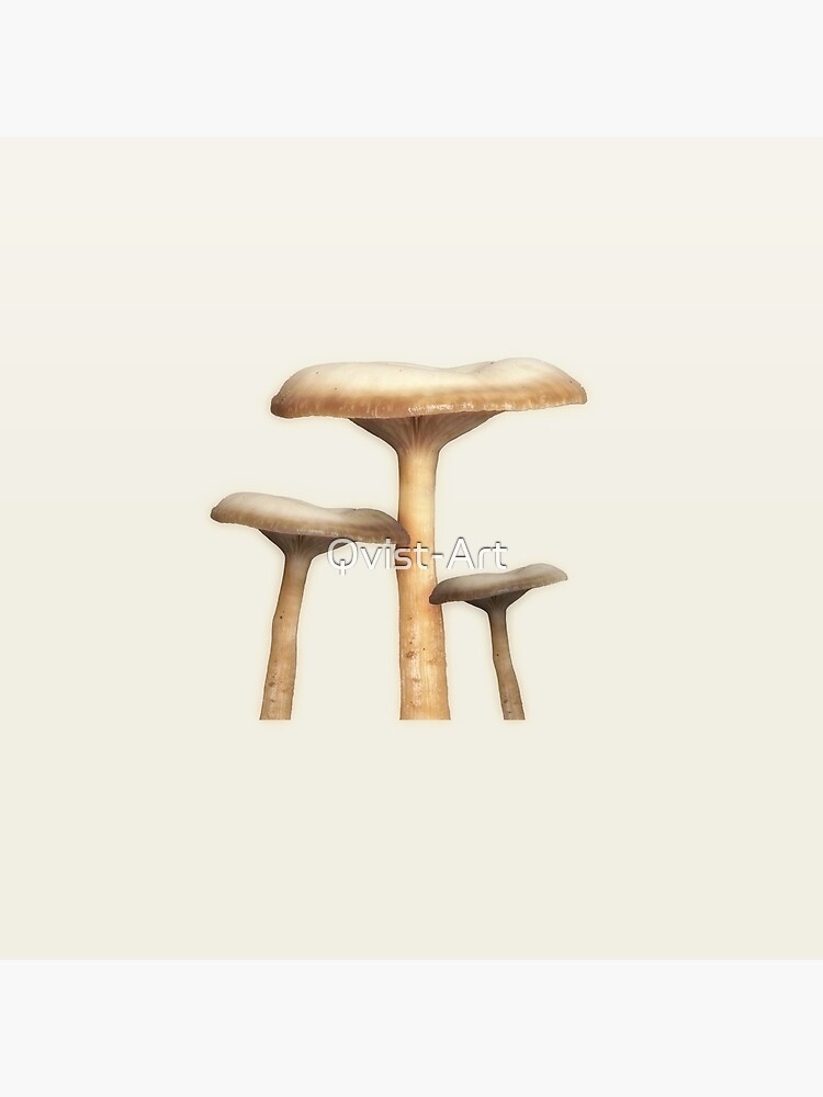 "Mushroom Steps" Poster for Sale by Qvist-Art | Redbubble