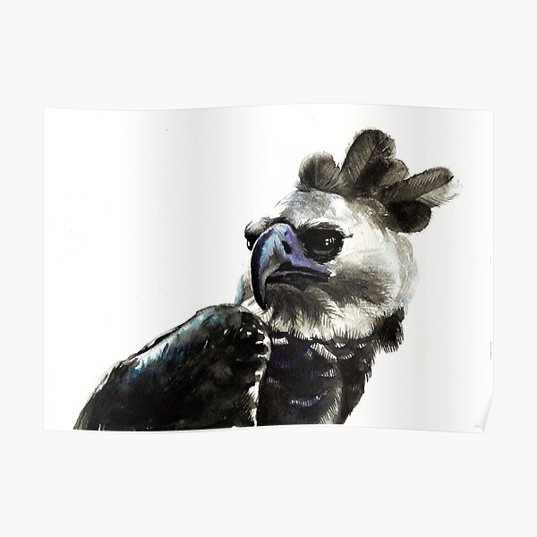 "Watercolor painting bird Harpia" Poster by IvchenkoEvgenia | Redbubble