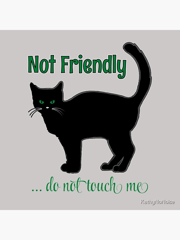"NOT FRIENDLY DO NOT TOUCH ME FUNNY CAT SHIRT, SOCKS, STICKERS, AND ...