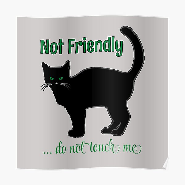"NOT FRIENDLY DO NOT TOUCH ME FUNNY CAT SHIRT, SOCKS, STICKERS, AND ...