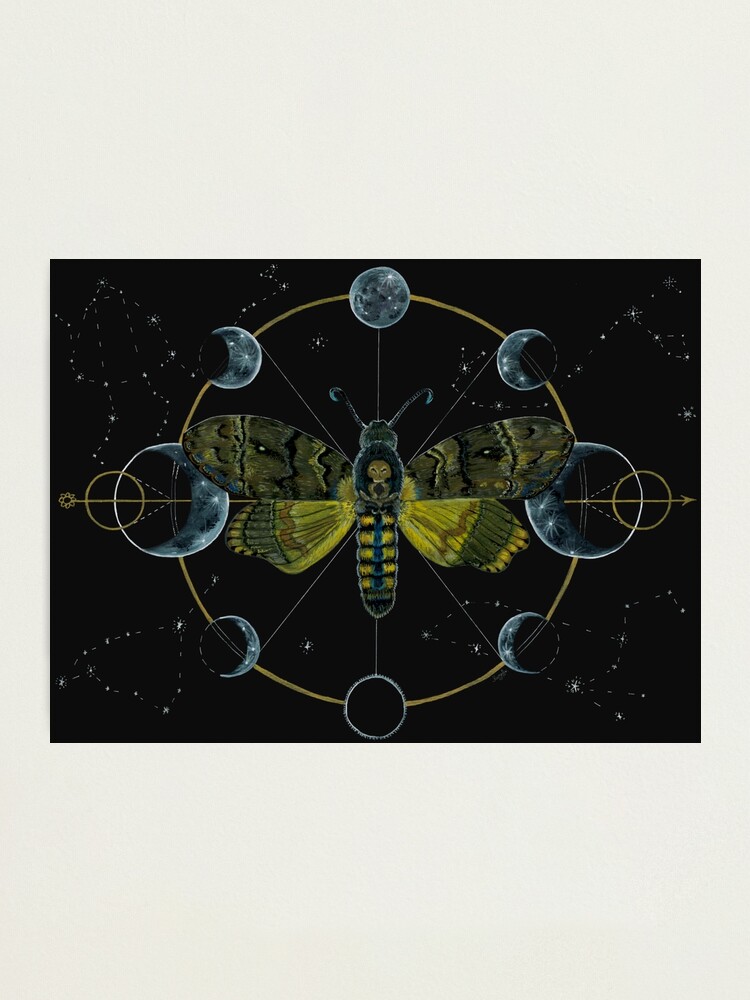"Luna and death's-head Moth universe magic gothic illustration ...