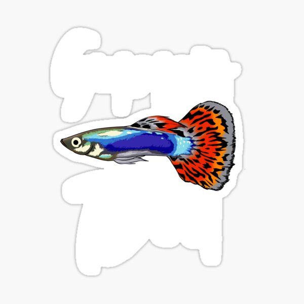 "Guppy Dad Fish" Sticker by Bendthetrend | Redbubble