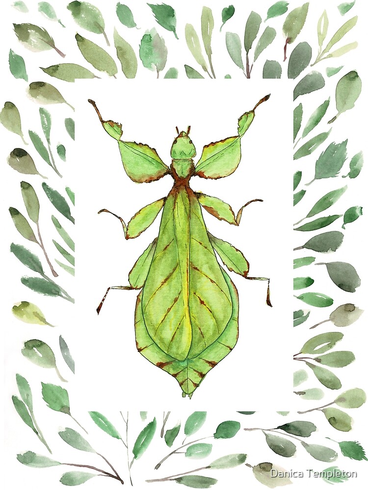 Póster «Insecto de hoja con ilustración de acuarela de marco de hoja ...