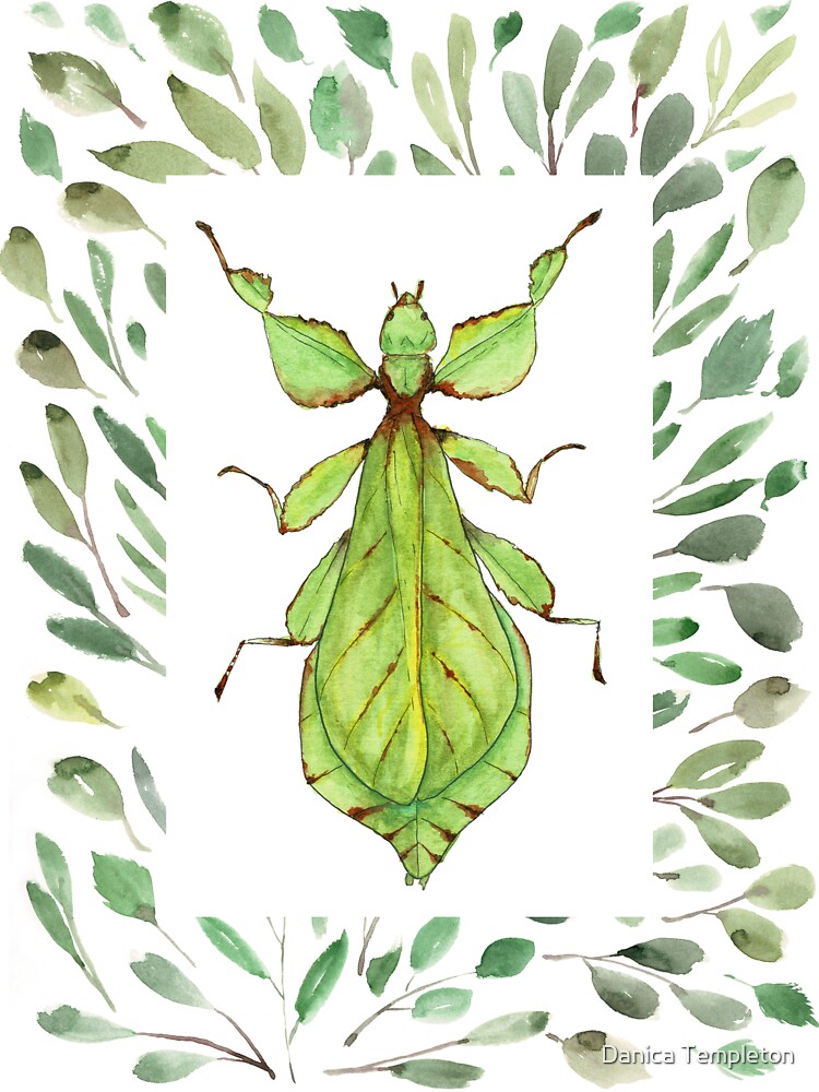 "Leaf Bug with Leaf Frame Watercolor Illustration" Sticker for Sale by ...