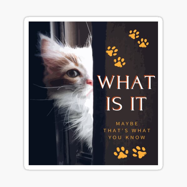 "What is it" Sticker by KINGS1981 | Redbubble
