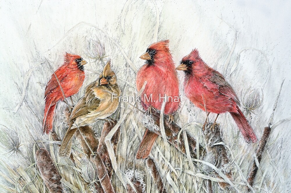 "Cardinals on the Cattails " by Stephanie Hnat | Redbubble
