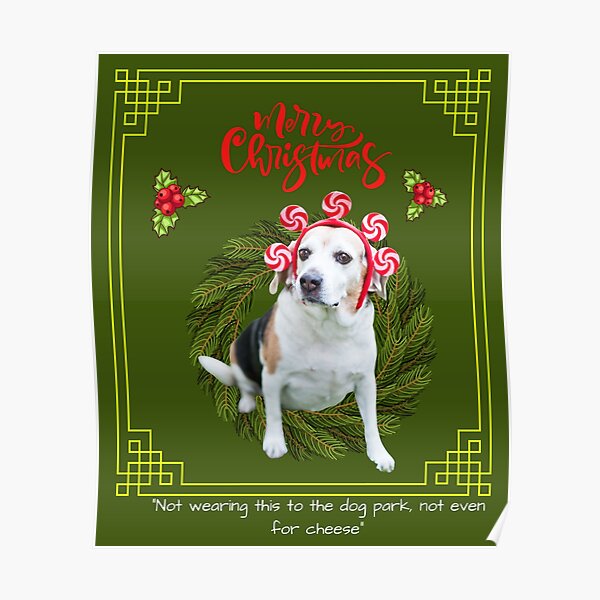 Póster «Photo Pups Cranky Canines Adorable Grumpy Beagle Tarjeta de ...