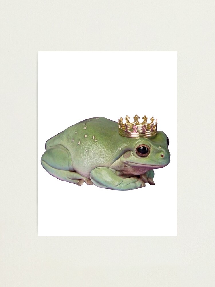 "Frog With Crown, Cute Sitting Realistic Frog with Crow, Prince Frog ...