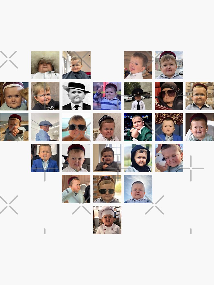 "Hasbulla collage pictures " Sticker by Sid-B | Redbubble