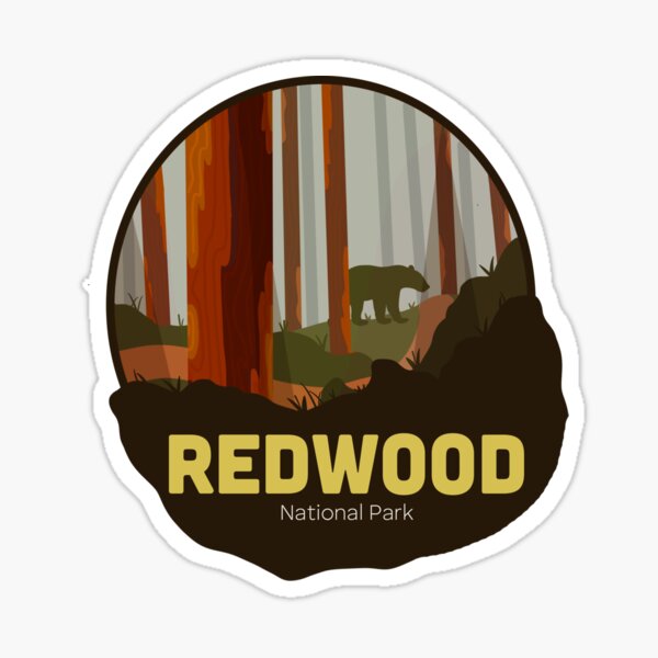 "Redwood National Park" Sticker by tk-kaufman | Redbubble