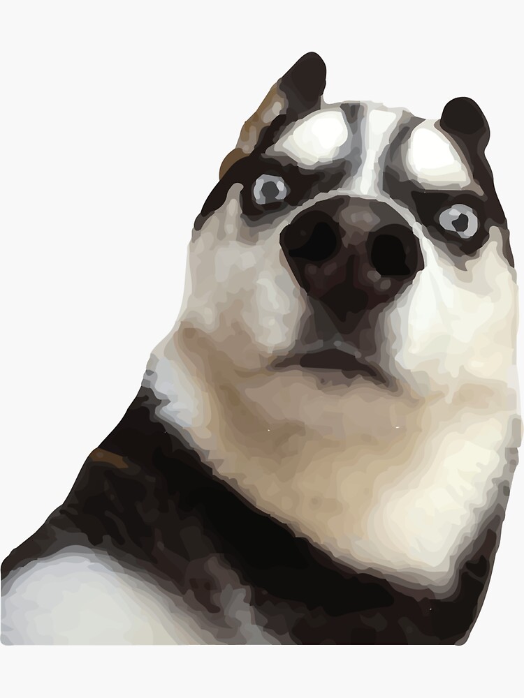 "Husky Meme" Sticker by lucas-caputi | Redbubble