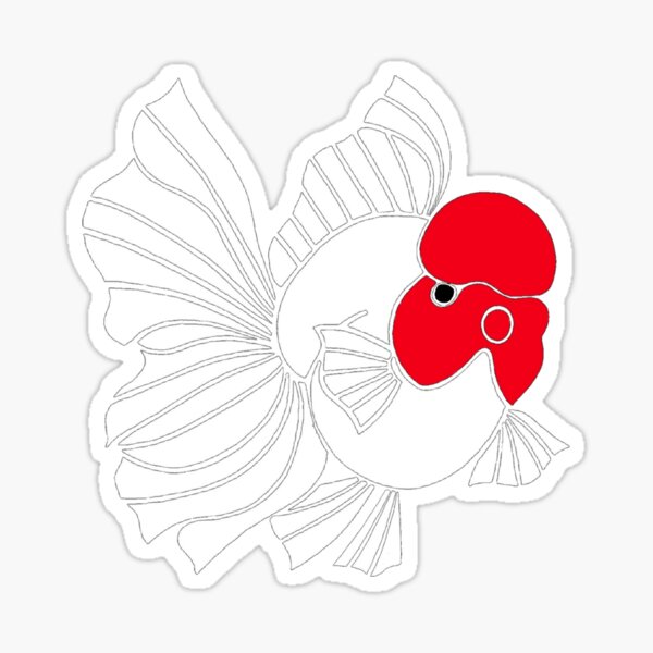 "Oranda Goldfish Logo 1225K" Sticker for Sale by Nosnah | Redbubble