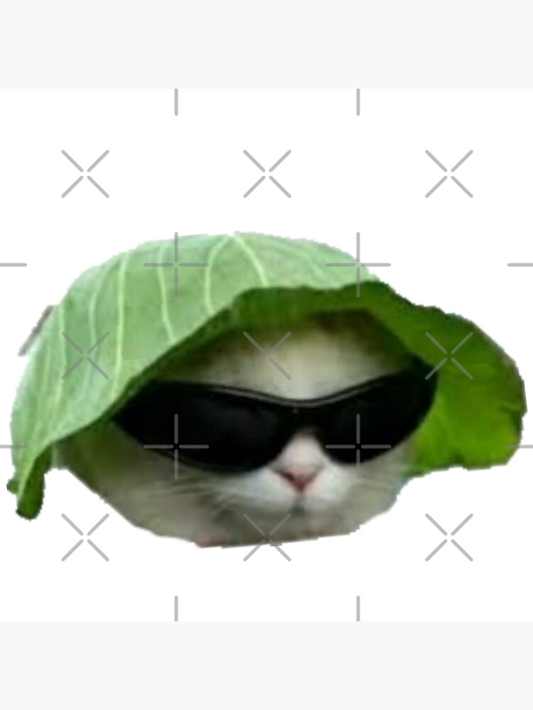 "Dank Meme Cat" Poster for Sale by sticker-vault | Redbubble
