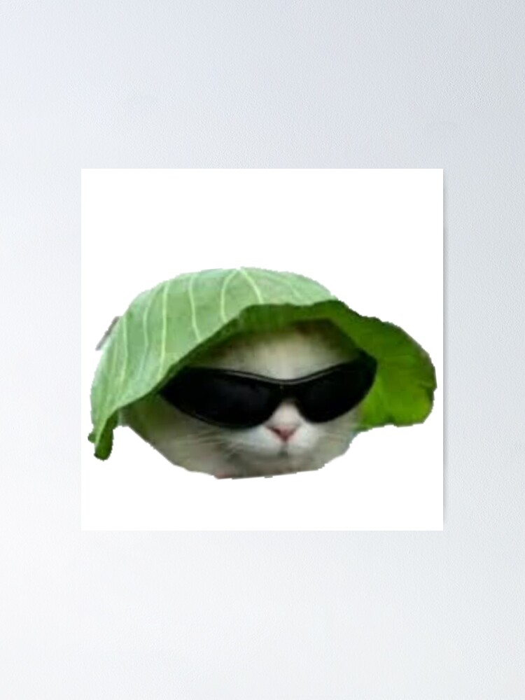 "Dank Meme Cat" Poster for Sale by sticker-vault | Redbubble