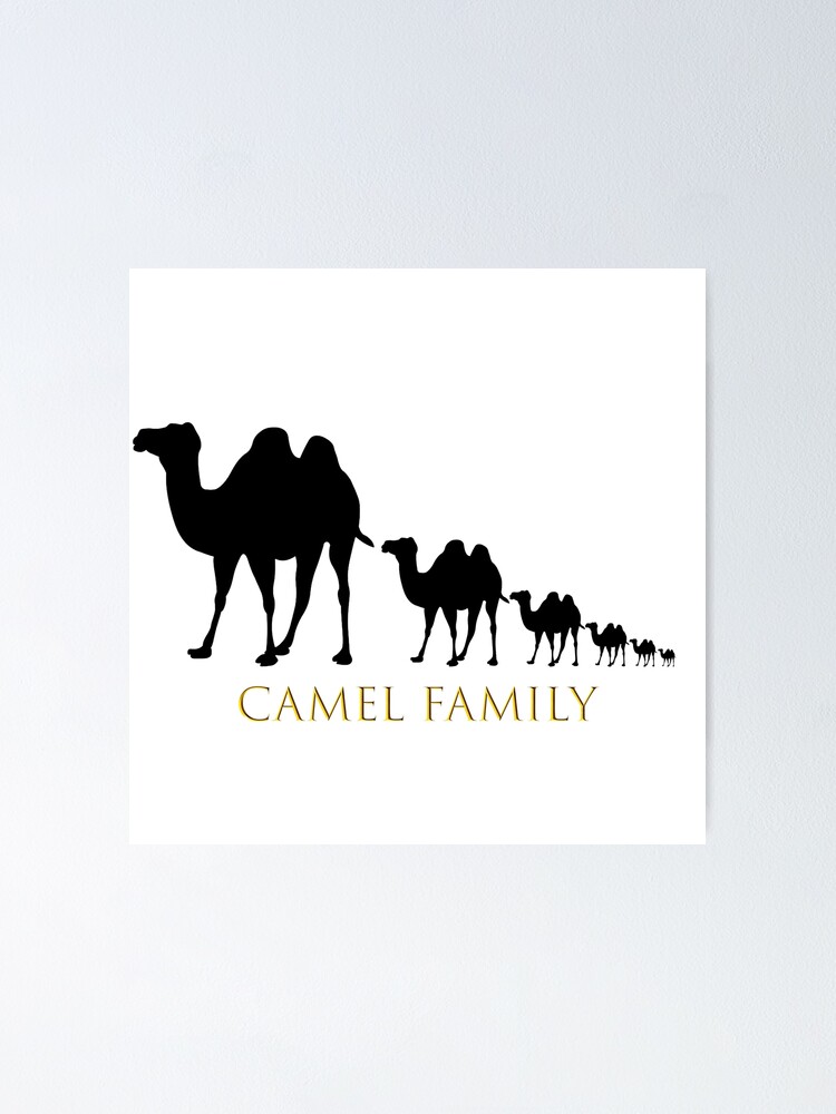 "camel family" Poster for Sale by Worldofdesign1 | Redbubble