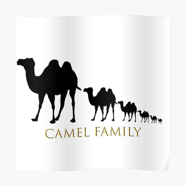 "camel family" Poster for Sale by Worldofdesign1 | Redbubble
