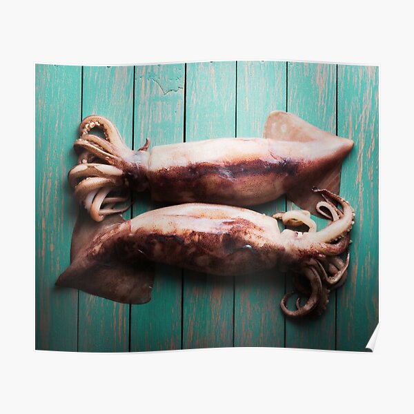 "squid photo with high resolution quality" Poster for Sale by ...