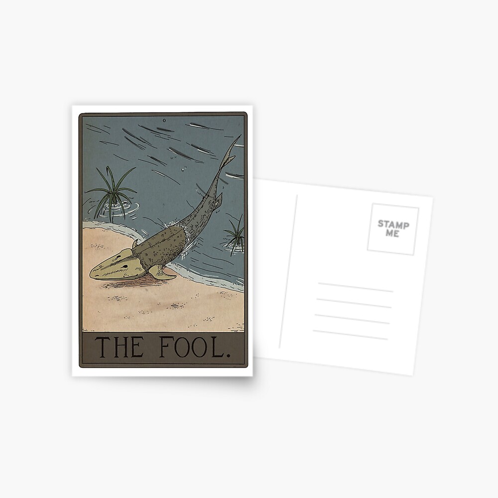 "Devonian Fool" Sticker for Sale by ClassyShark | Redbubble