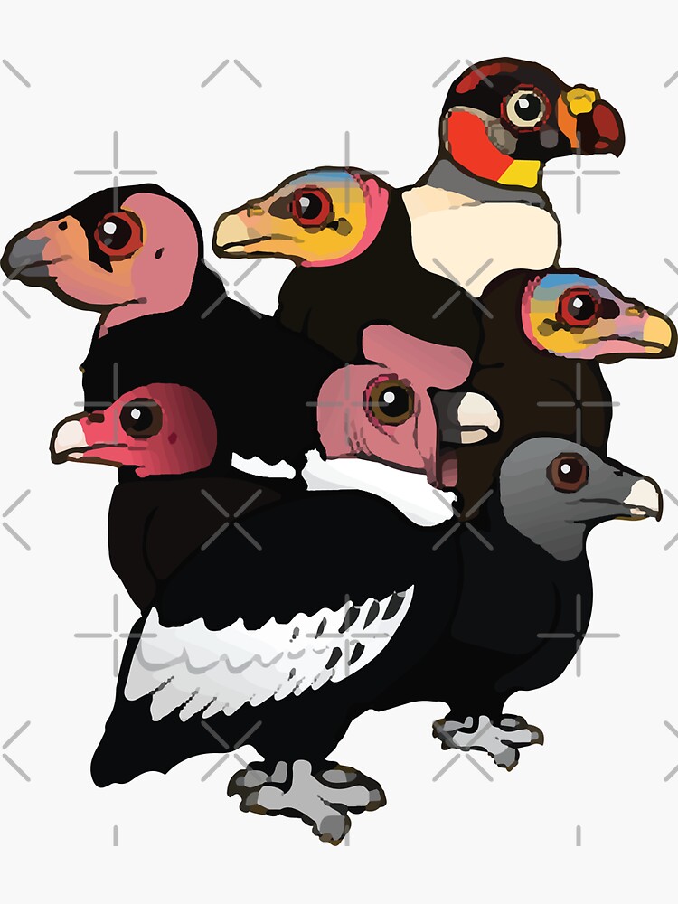 "Birdorable Vultures of the New World" Sticker by GhafilDesignz | Redbubble