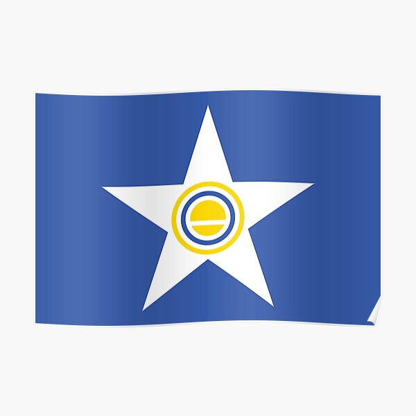 "Houston City Flag 2022" Poster for Sale by dunakin | Redbubble
