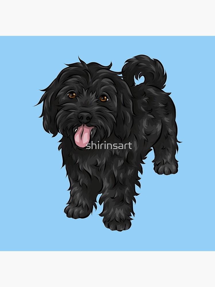 "Cute Cavapoo | Black | Cute Dog Art" Pillow for Sale by shirinsart ...