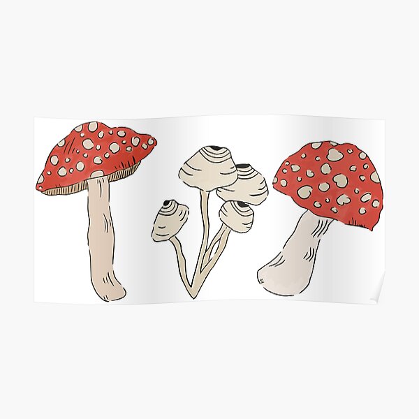 "mush love - red color combination" Poster for Sale by LillemDesign ...