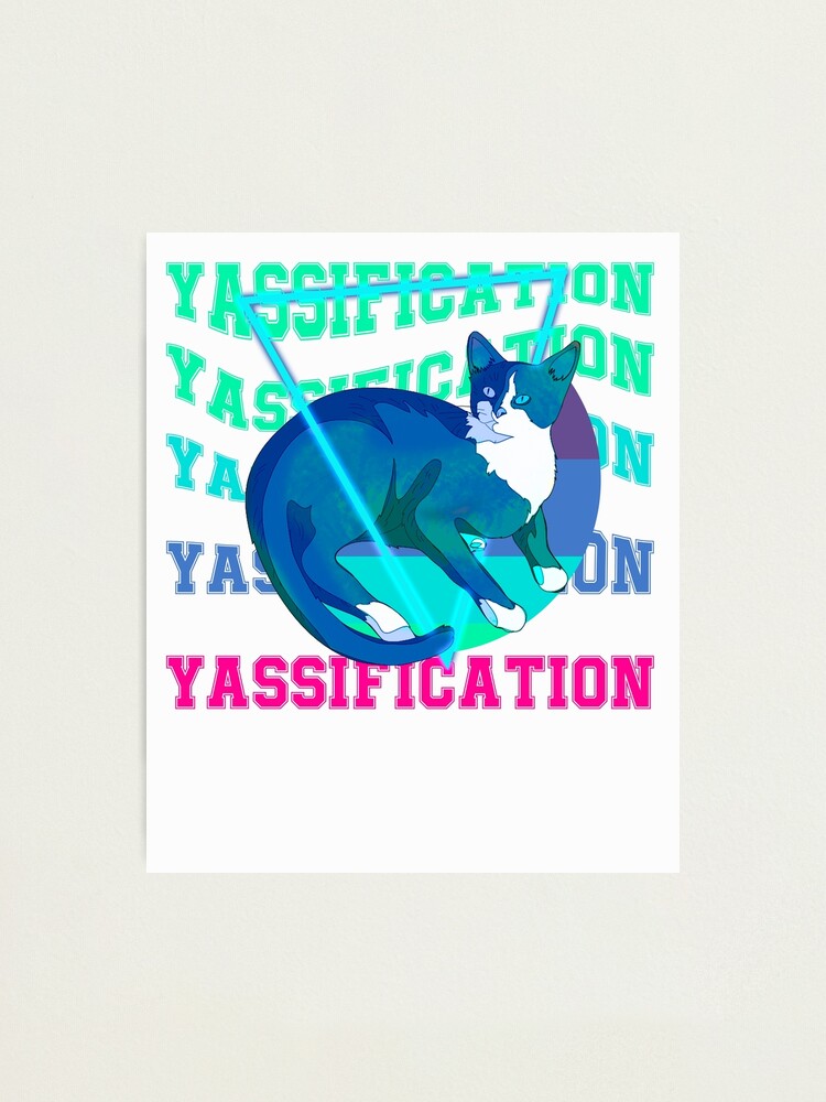 "yassification Funny Retro Cat meme " Photographic Print for Sale by ...