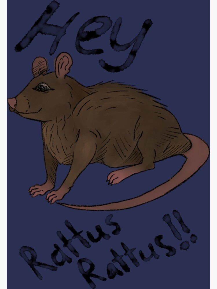 "Hey Rattus Rattus!!" Poster by VoidedAnomaly | Redbubble