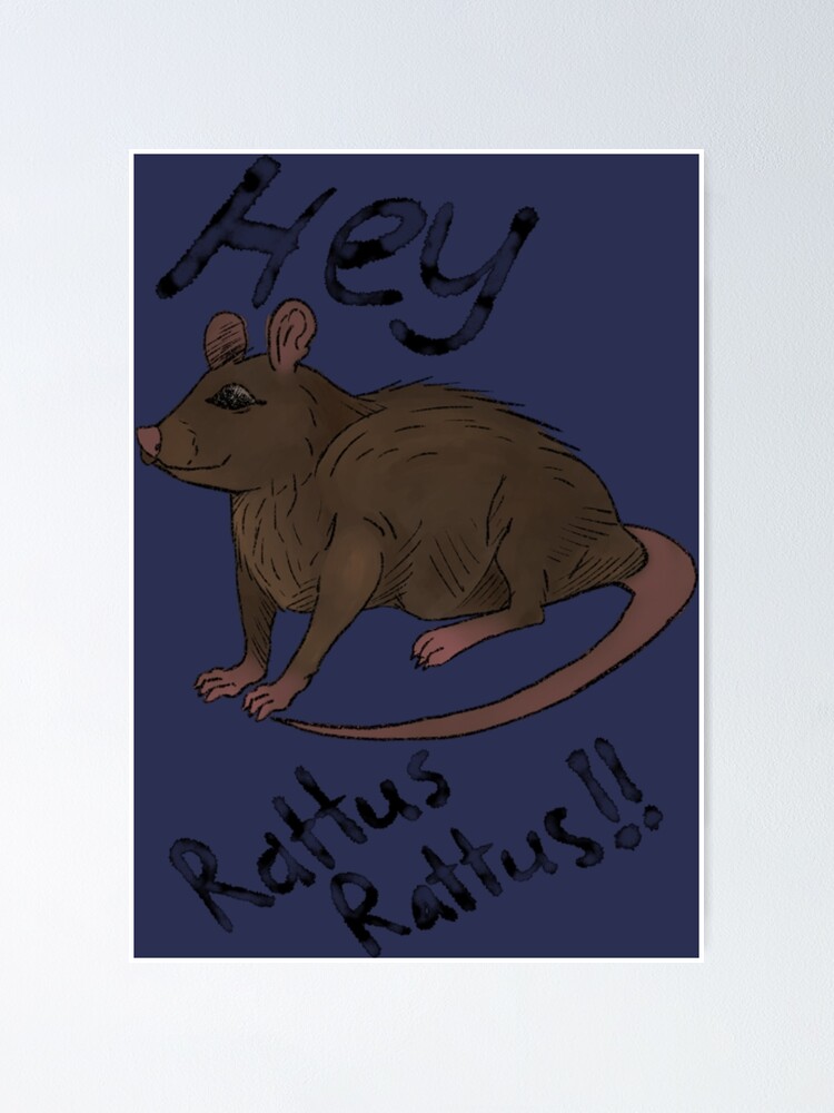 "Hey Rattus Rattus!!" Poster by VoidedAnomaly | Redbubble