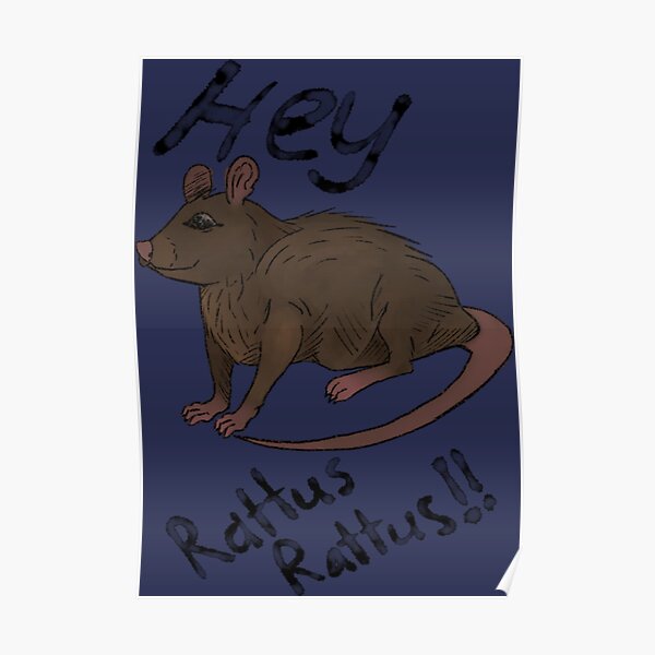 "Hey Rattus Rattus!!" Poster by VoidedAnomaly | Redbubble